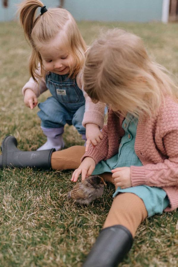 7 Benefits of Raising Backyard Chickens with Kids - Fox Farm Home