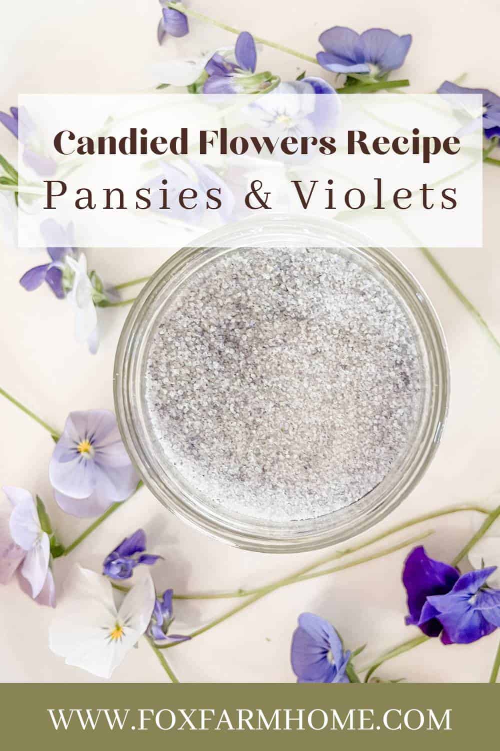 Candied Flowers Recipe - How to Make Sugared Pansies & Violets - Fox ...
