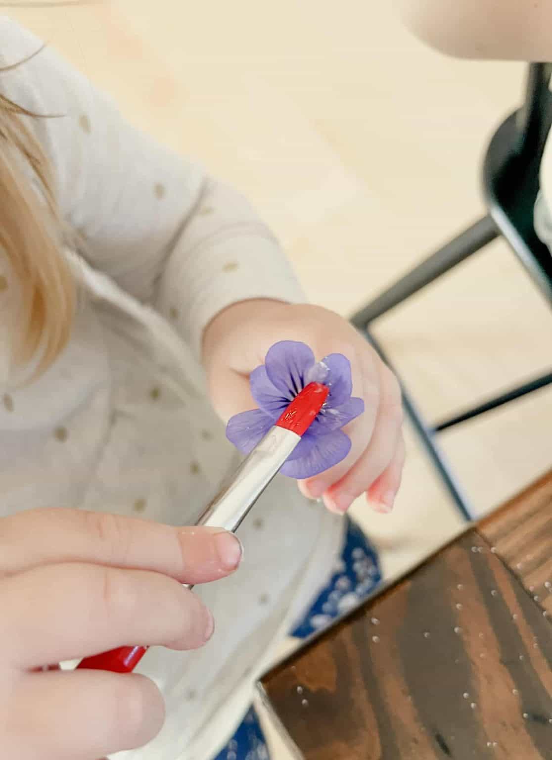 Candied Flowers Recipe - How to Make Sugared Pansies & Violets - Fox ...