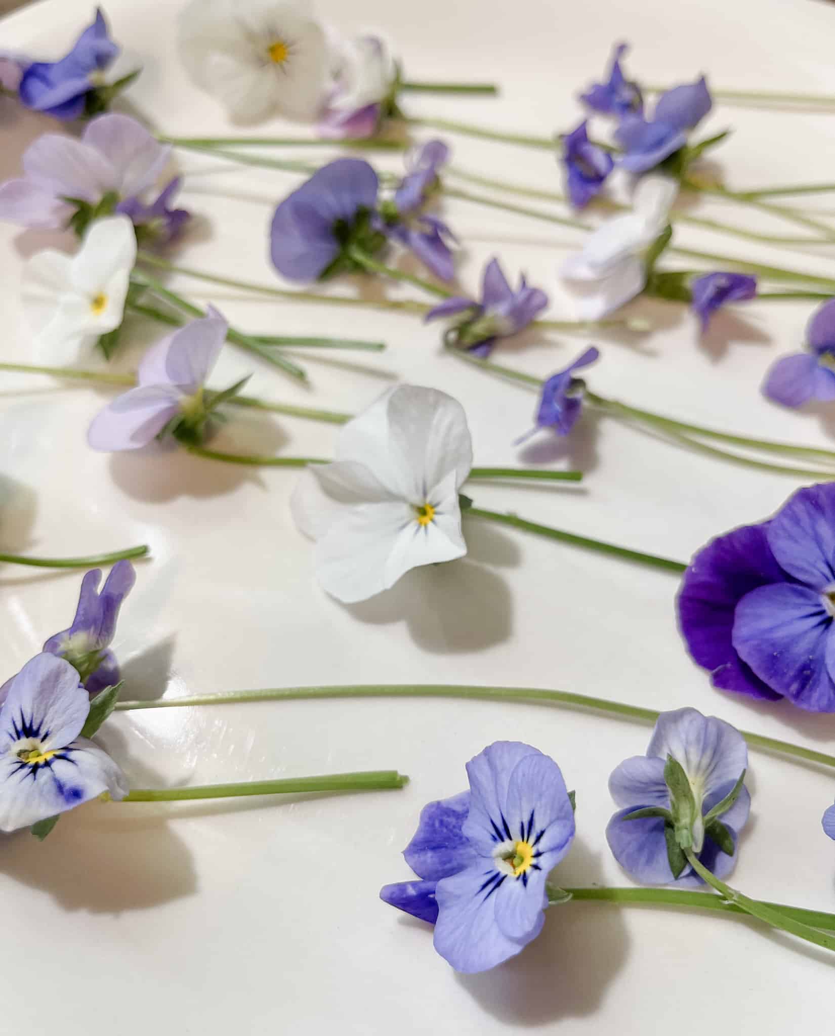 Candied Flowers Recipe - How to Make Sugared Pansies & Violets - Fox Farm Home