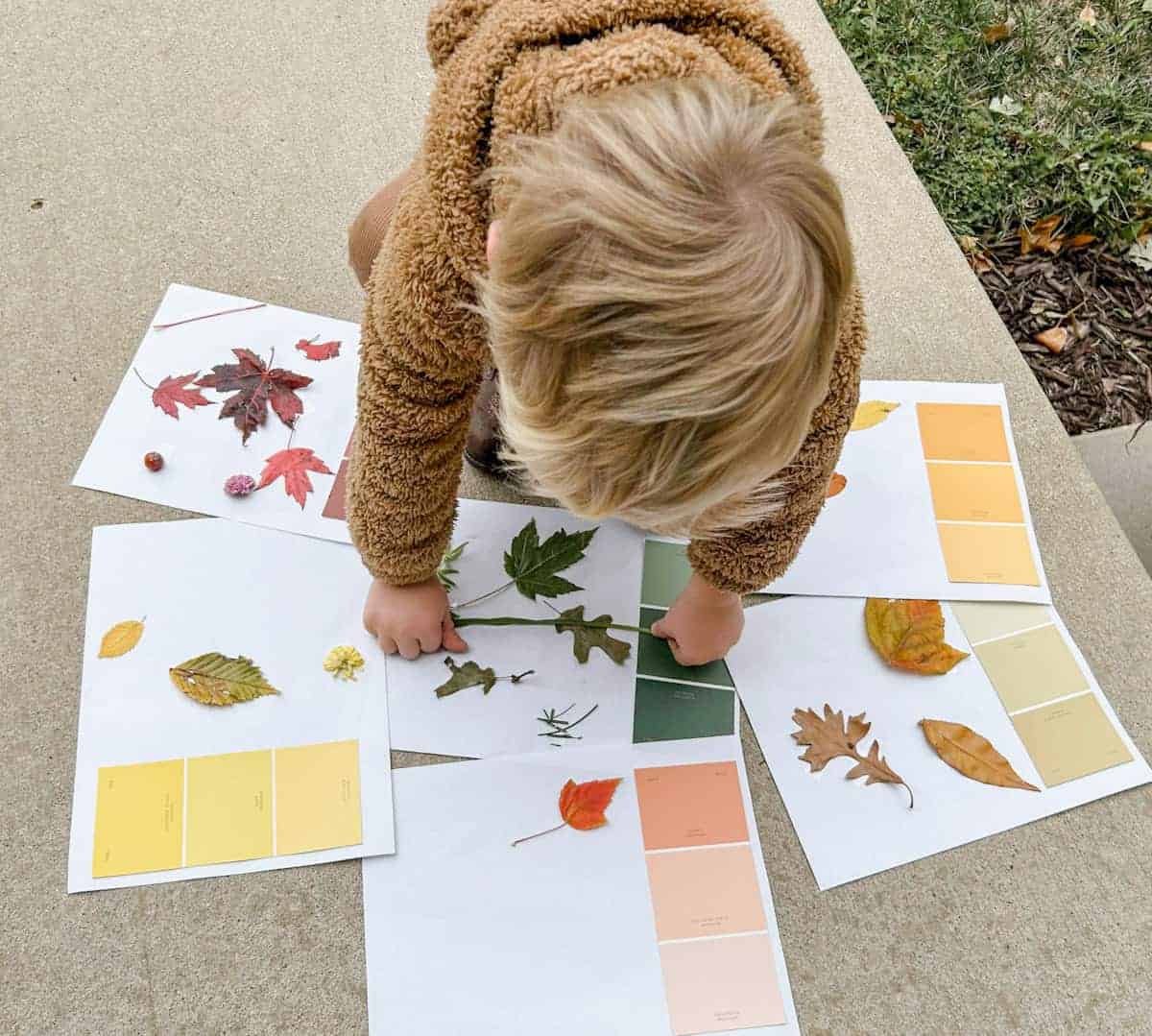 We're Going On A Fall Leaf Scavenger Hunt Activity - Fox Farm Home