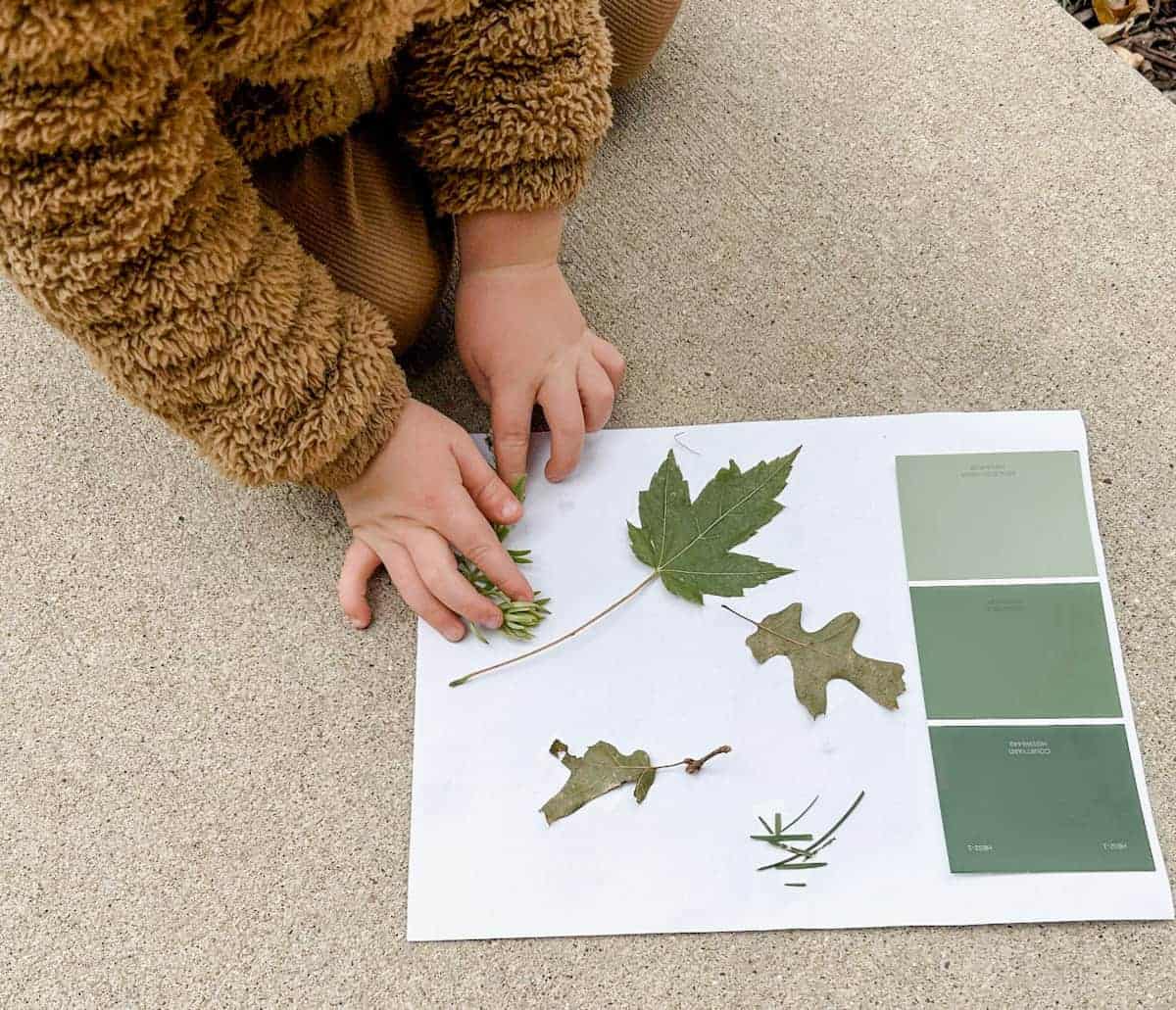 We're Going On A Fall Leaf Scavenger Hunt Activity - Fox Farm Home