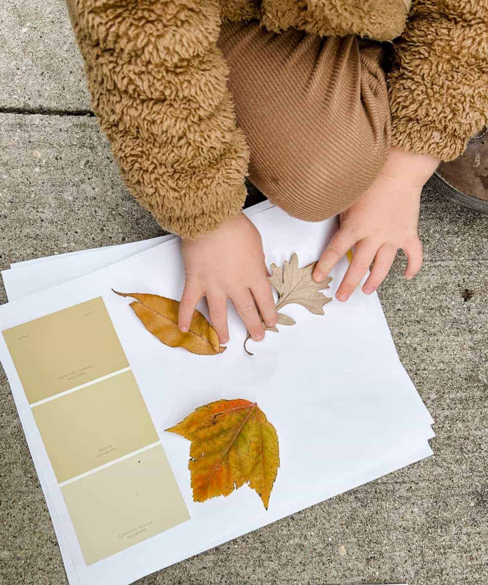 We're Going On A Fall Leaf Scavenger Hunt Activity - Fox Farm Home