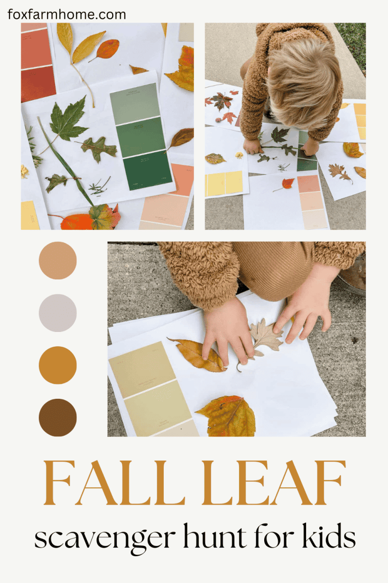 We're Going On A Fall Leaf Scavenger Hunt Activity - Fox Farm Home
