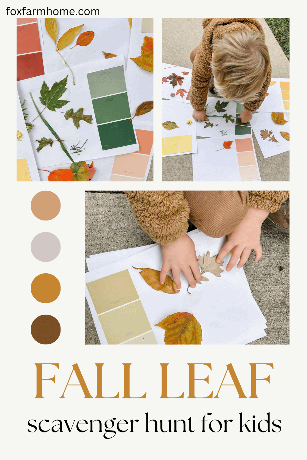 We're Going On A Fall Leaf Scavenger Hunt Activity - Fox Farm Home