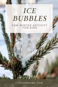How To Make Frozen Bubbles- A Winter Science Activity - Fox Farm Home
