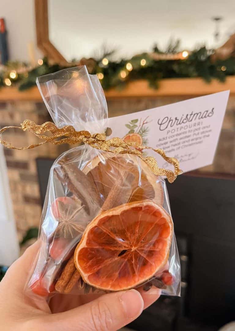 Christmas Simmer Pot Recipe (Easy Stovetop Potpourri) - Fox Farm Home