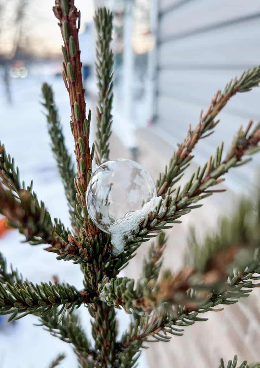 How To Make Frozen Bubbles- A Winter Science Activity - Fox Farm Home