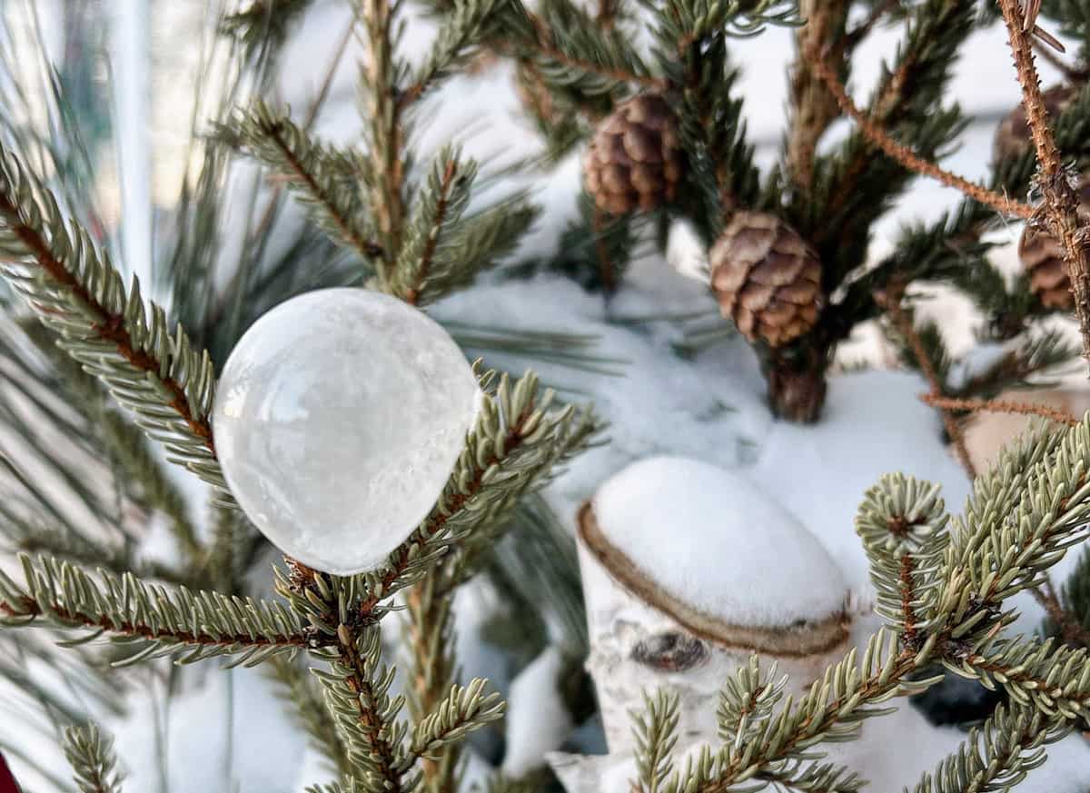 How To Make Frozen Bubbles- A Winter Science Activity - Fox Farm Home