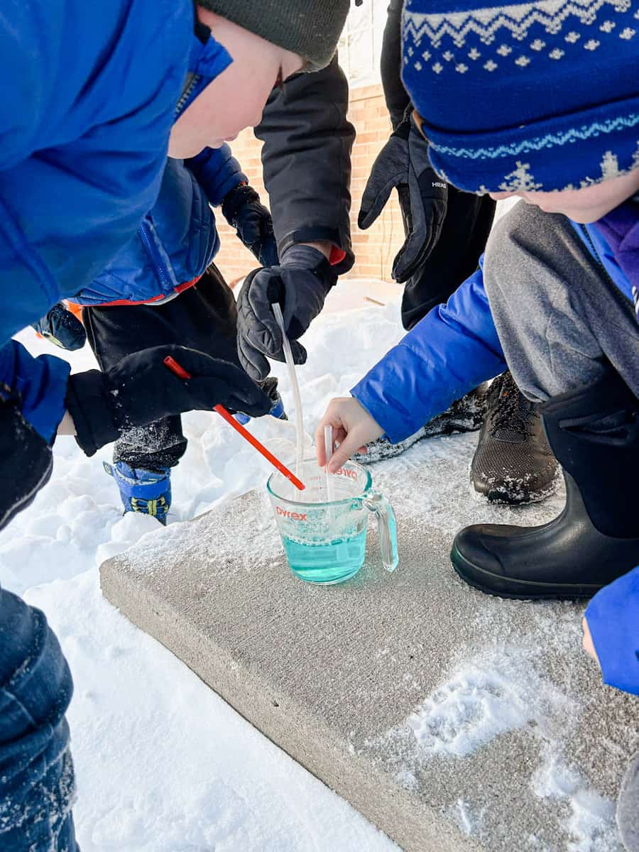 How To Make Frozen Bubbles- A Winter Science Activity - Fox Farm Home