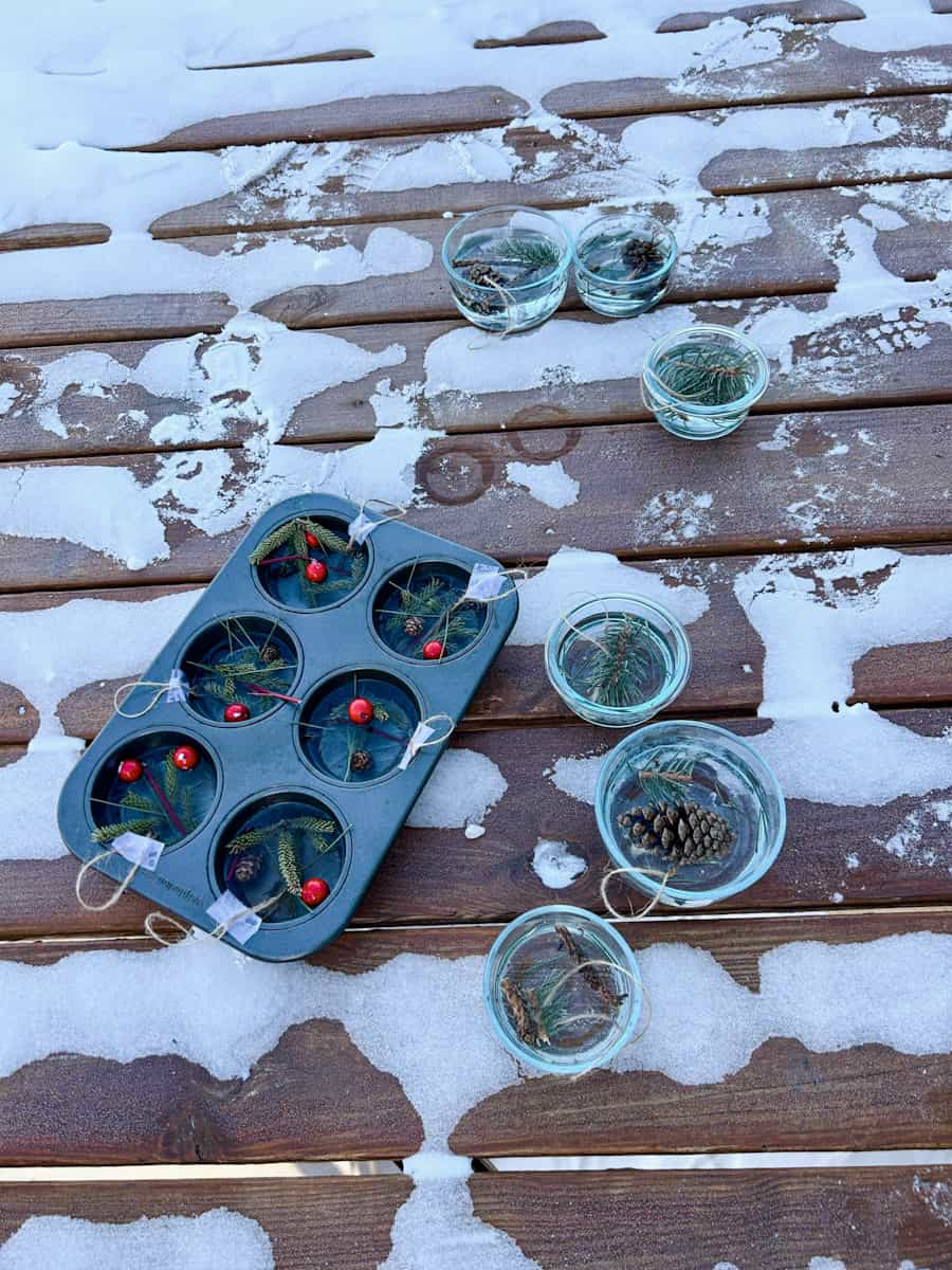 How To Make Nature Ice Ornaments | Easy Winter Craft - Fox Farm Home