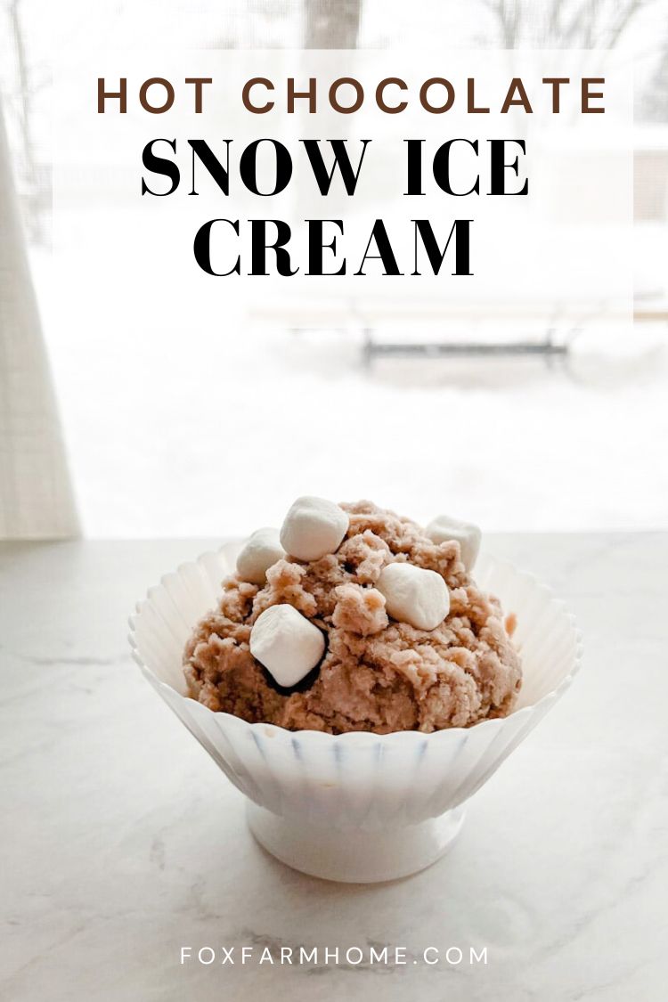 Hot Chocolate Snow Ice Cream Recipe - Fox Farm Home