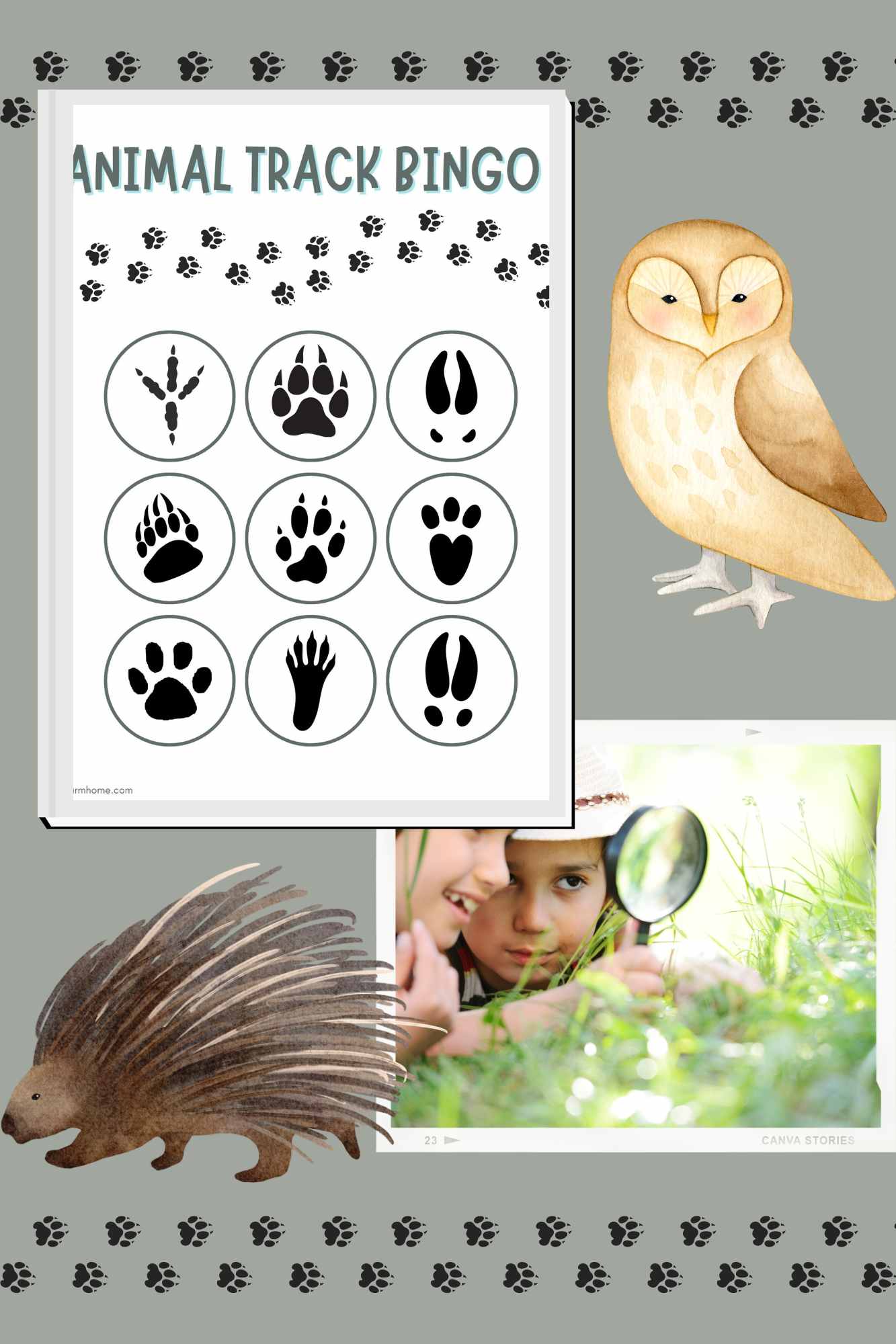 Animal Tracks Bingo Game For Kids- Free Printables - Fox Farm Home