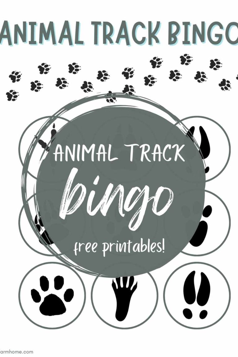 Animal Tracks Bingo Game For Kids- Free Printables - Fox Farm Home