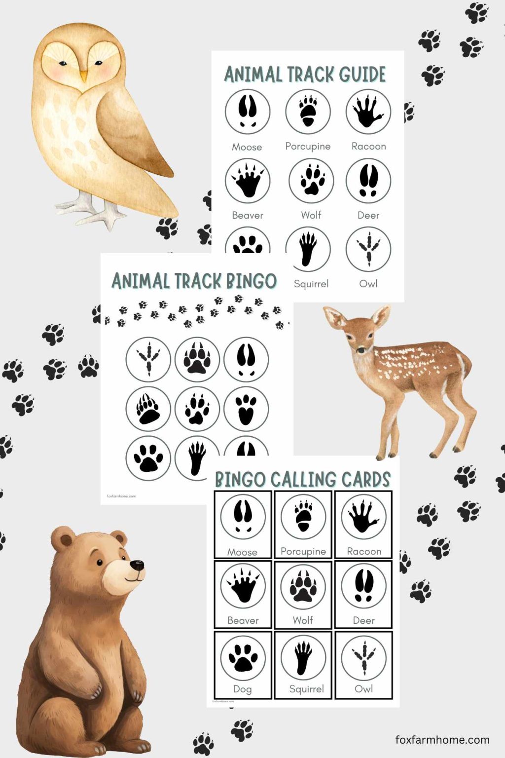 Animal Tracks Bingo Game For Kids- Free Printables - Fox Farm Home