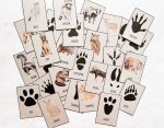 Free Animal Tracks Printable Cards | Nature Activity - Fox Farm Home