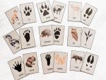 Free Animal Tracks Printable Cards | Nature Activity - Fox Farm Home