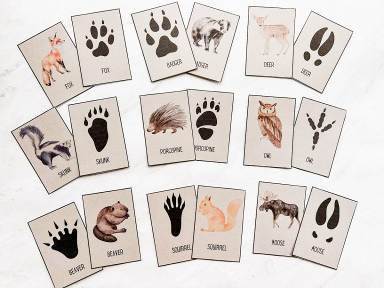 Free Animal Tracks Printable Cards | Nature Activity - Fox Farm Home