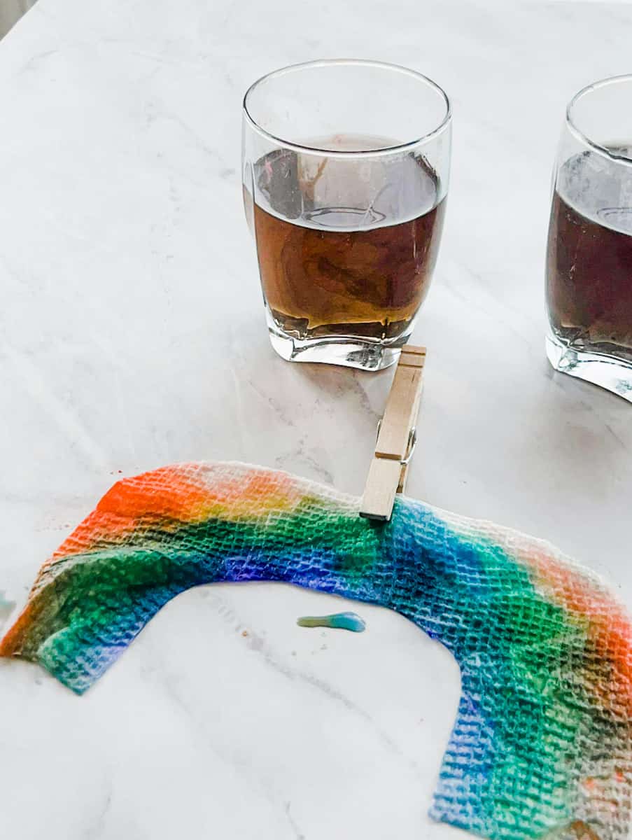 Climbing Rainbow Science Experiment For Kids - Fox Farm Home