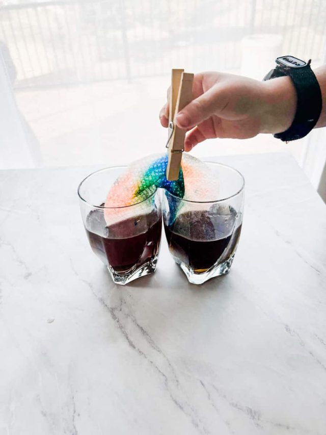 Climbing Rainbow Science Experiment For Kids - Fox Farm Home