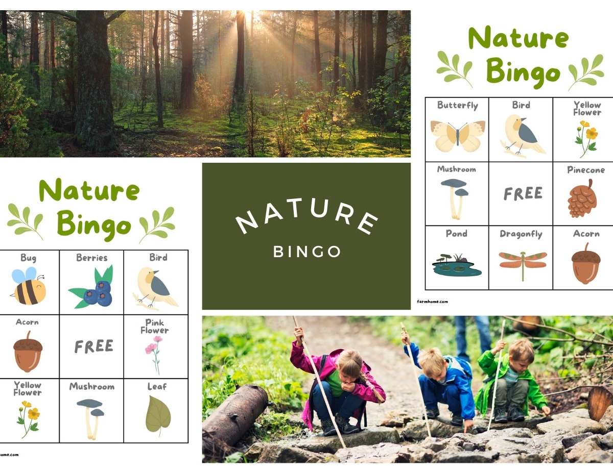 Nature Bingo Activity For Kids | Free Printable Game - Fox Farm Home