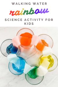 Walking Water Rainbow Science Experiment For Kids - Fox Farm Home