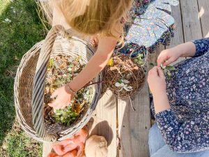 How to Make a Nesting Ball for Backyard Birds - Fox Farm Home