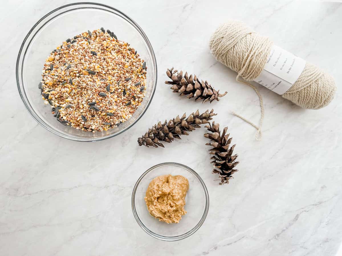 How to Make a Pinecone Bird Feeder with Peanut Butter - Fox Farm Home