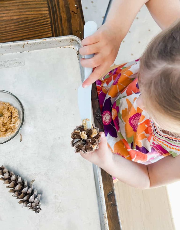 How to Make a Pinecone Bird Feeder with Peanut Butter - Fox Farm Home