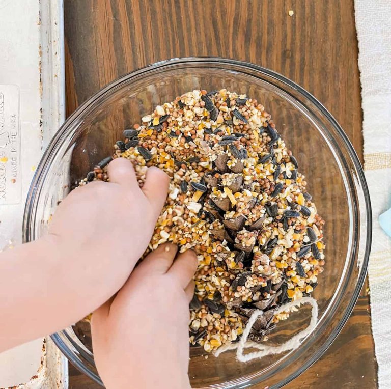 How to Make a Pinecone Bird Feeder with Peanut Butter - Fox Farm Home