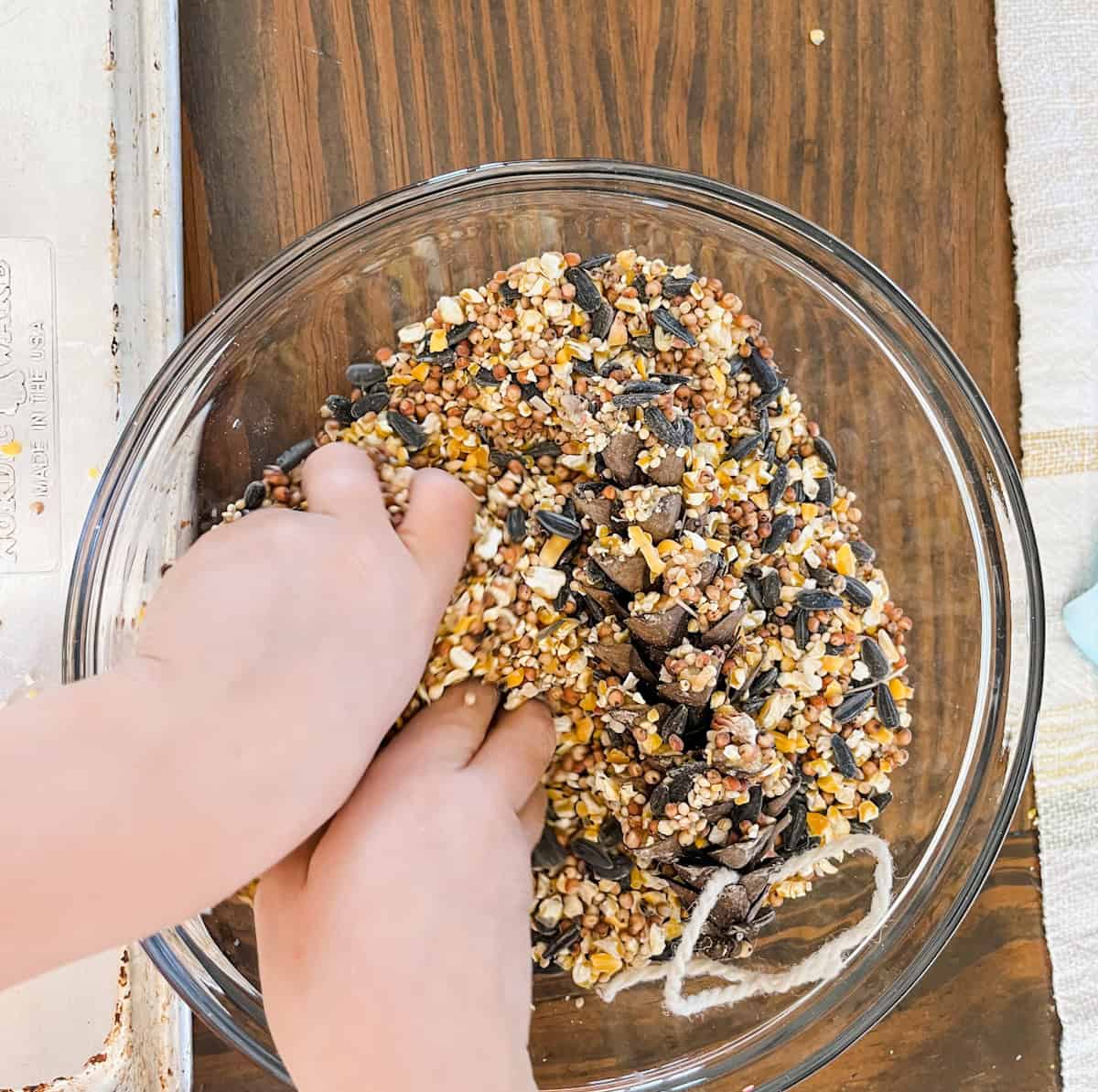 How to Make a Pinecone Bird Feeder with Peanut Butter - Fox Farm Home