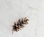 How to Make a Pinecone Bird Feeder with Peanut Butter - Fox Farm Home