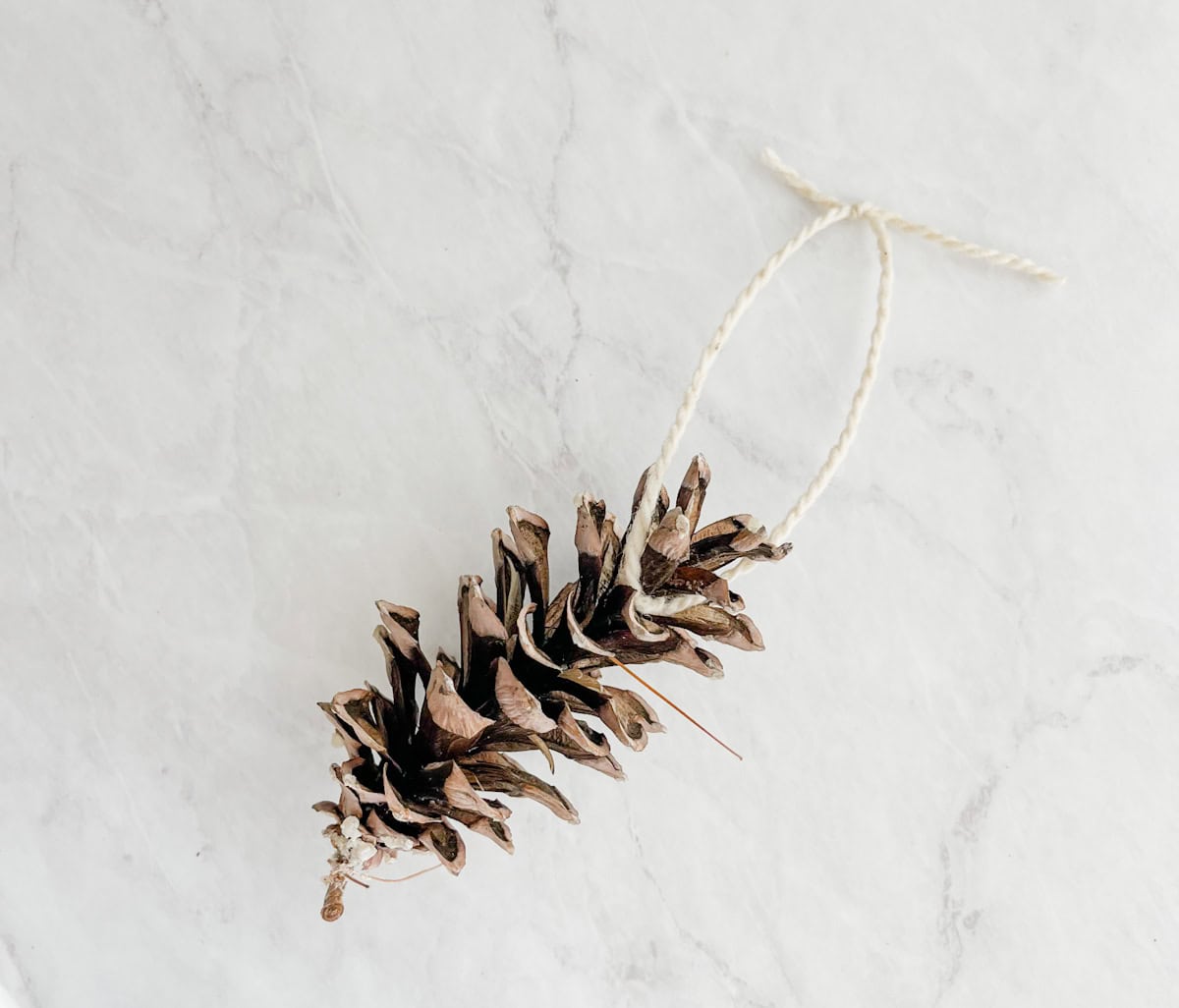 How to Make a Pinecone Bird Feeder with Peanut Butter - Fox Farm Home