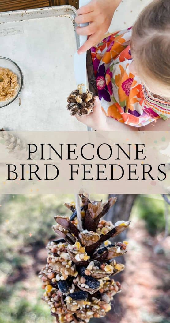 How to Make a Pinecone Bird Feeder with Peanut Butter - Fox Farm Home
