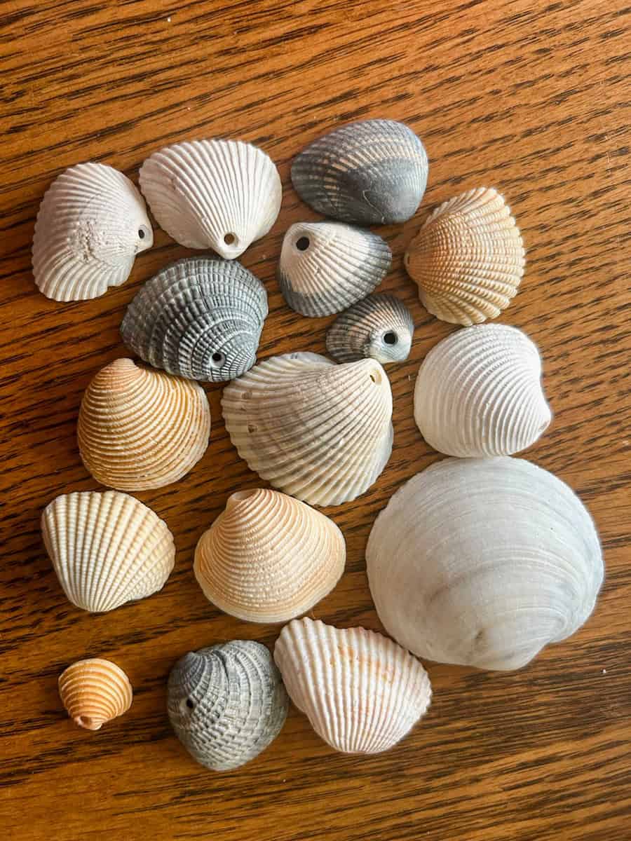 How To Make A Seashell & Bead Wind Chime - Fox Farm Home