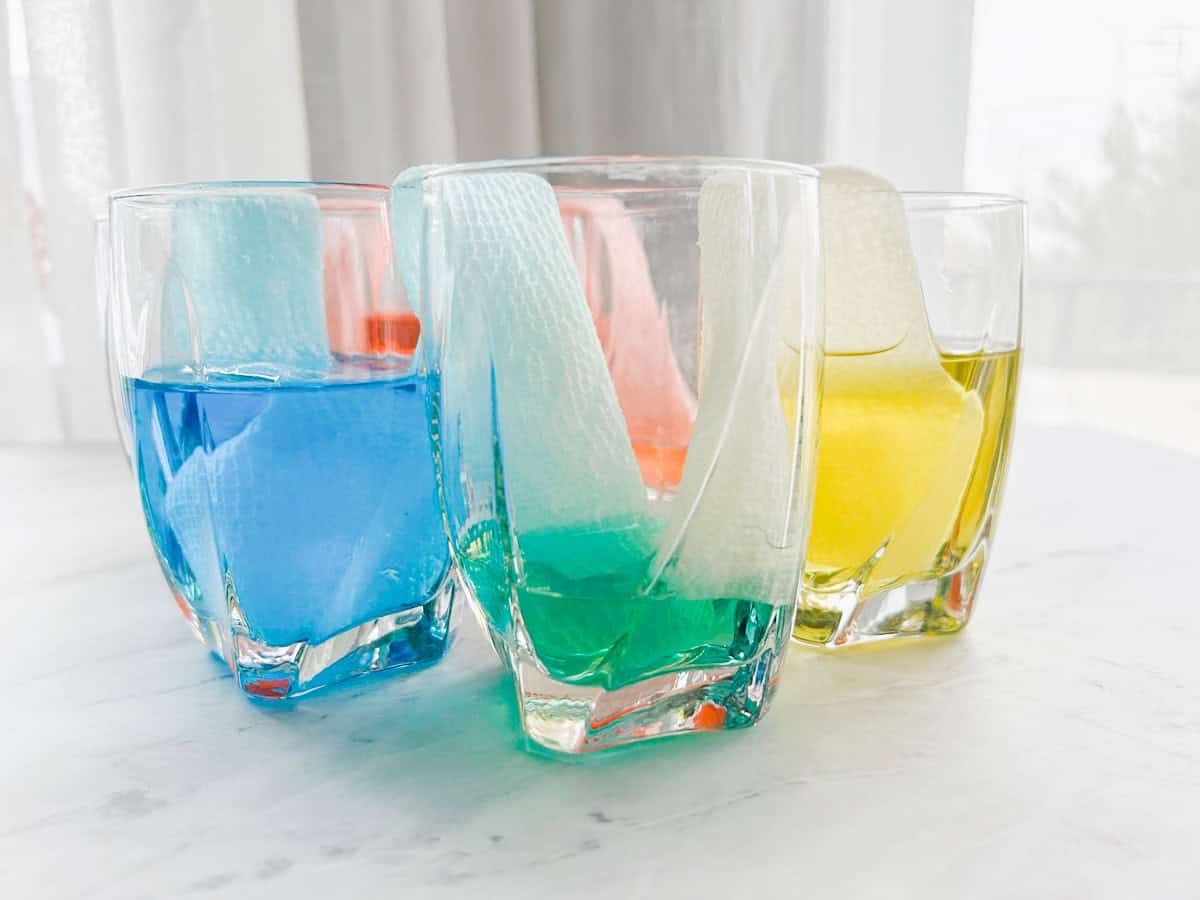 Walking Water Rainbow Science Experiment For Kids - Fox Farm Home