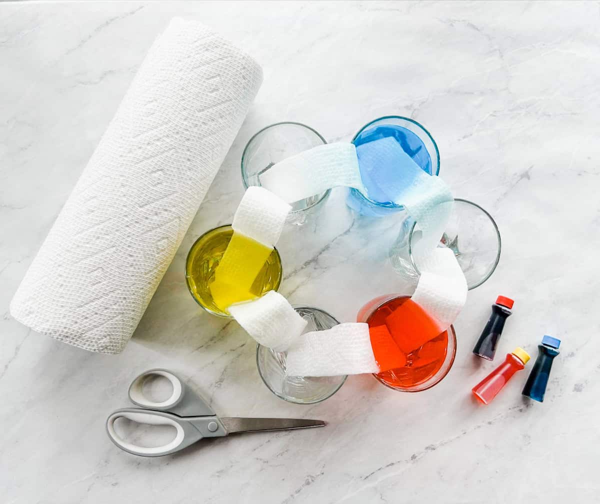 Walking Water Rainbow Science Experiment For Kids - Fox Farm Home