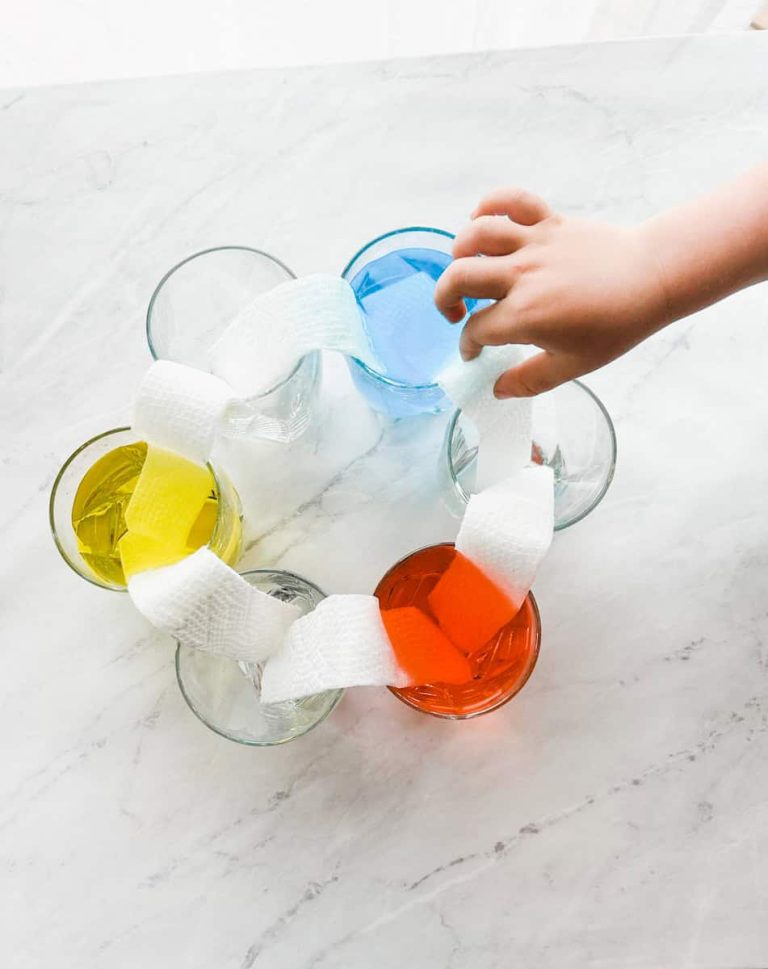 Walking Water Rainbow Science Experiment For Kids - Fox Farm Home
