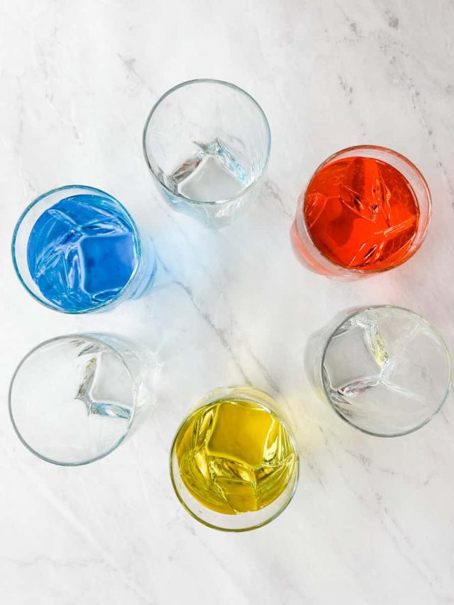 Walking Water Rainbow Science Experiment For Kids - Fox Farm Home