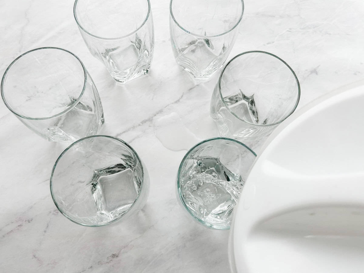 Walking Water Rainbow Science Experiment For Kids - Fox Farm Home