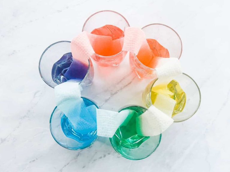 Walking Water Rainbow Science Experiment For Kids - Fox Farm Home