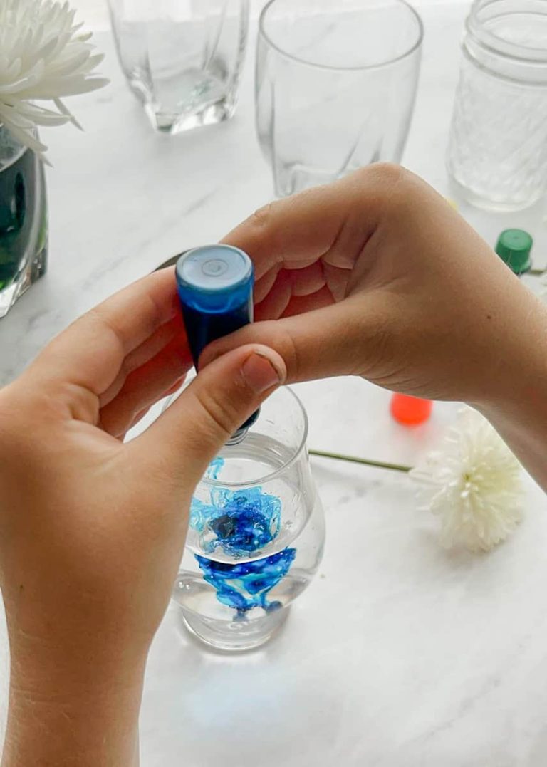 Color Changing Flowers Science Experiment For Kids - Fox Farm Home