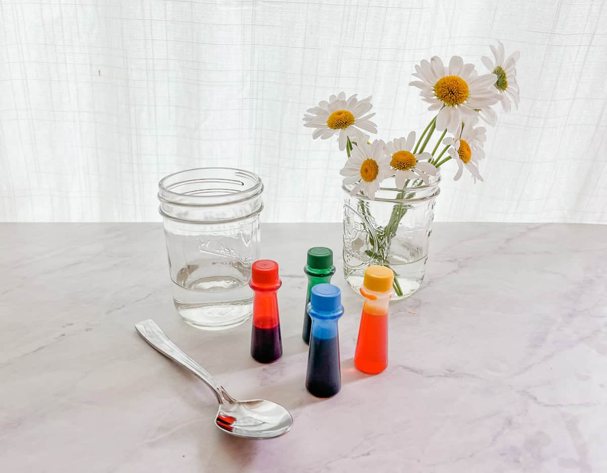 Color Changing Flowers Science Experiment For Kids - Fox Farm Home