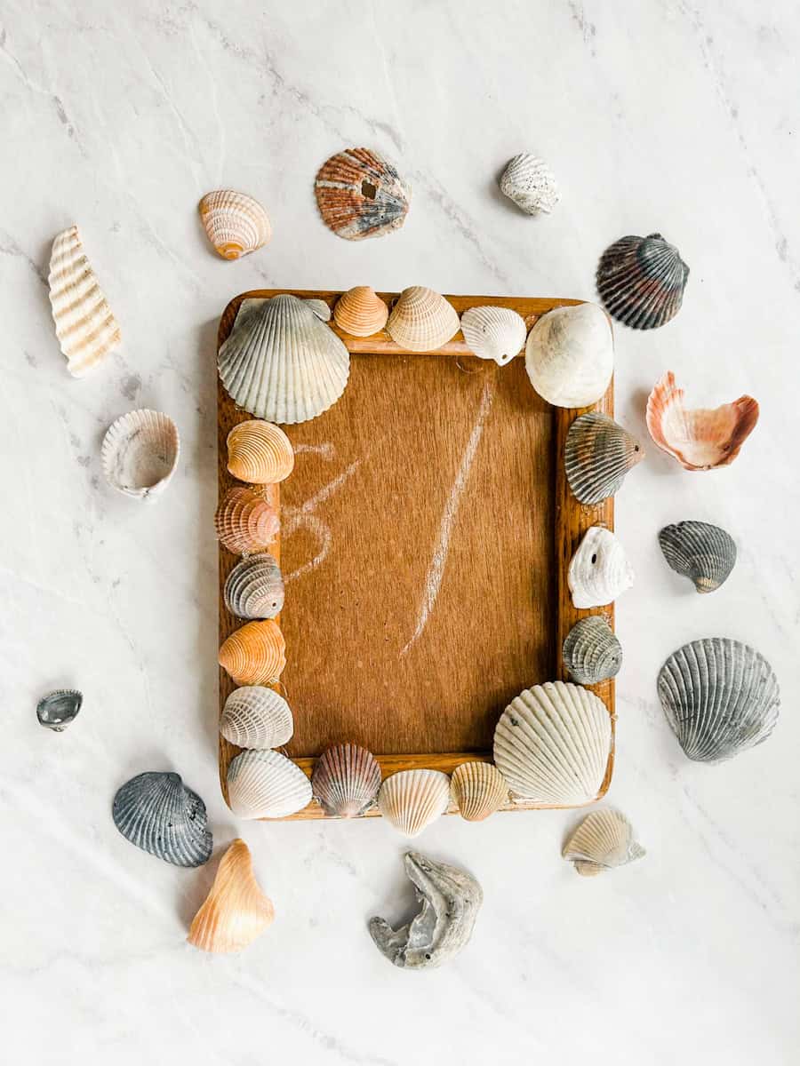 How To Make An Easy DIY Seashell Picture Frame - Fox Farm Home