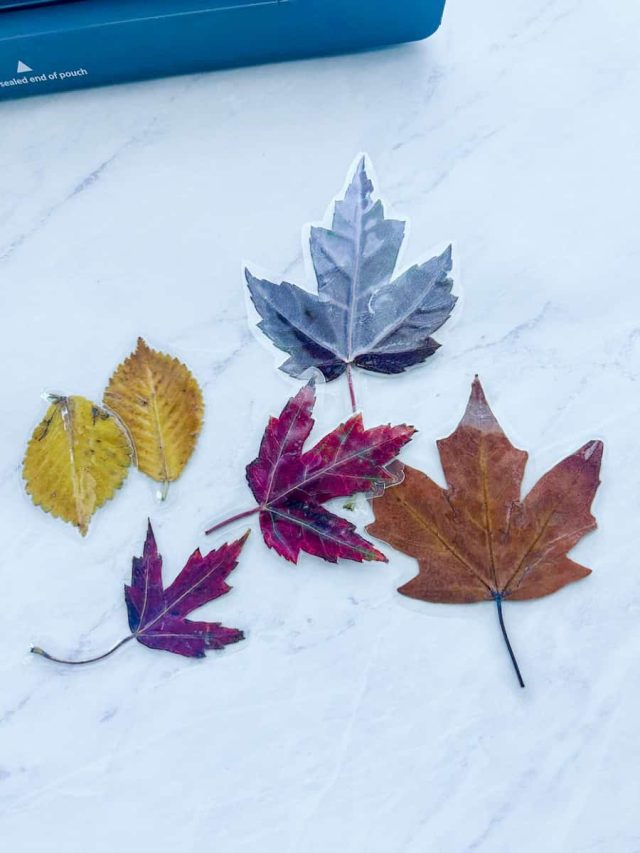 Fall Leaf DIY Window Clings - Fox Farm Home