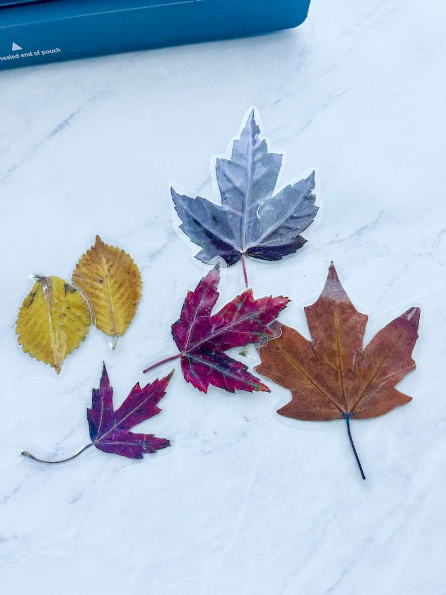 Fall Leaf DIY Window Clings - Fox Farm Home