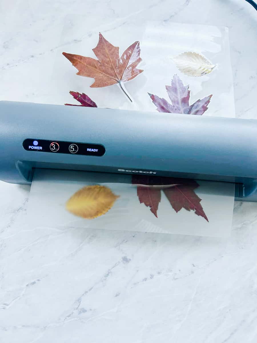 Fall Leaf DIY Window Clings - Fox Farm Home