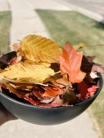 Fall Leaf DIY Window Clings - Fox Farm Home