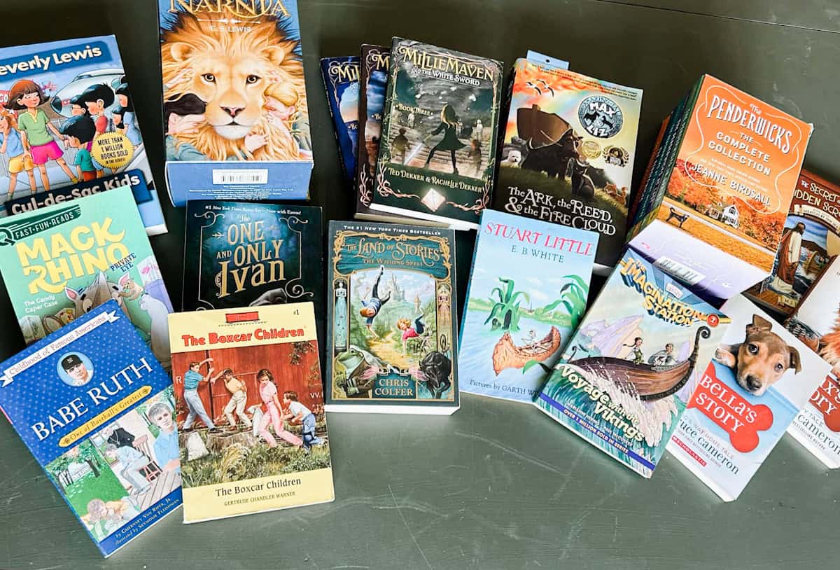 Best Chapter Books For Elementary Students - Fox Farm Home