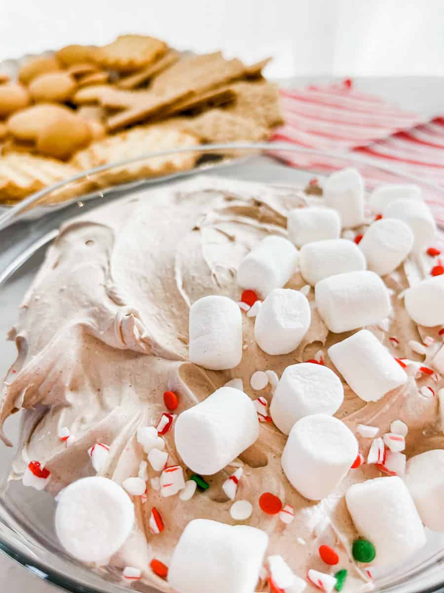 3 Ingredient Hot Cocoa Dip Recipe - Fox Farm Home